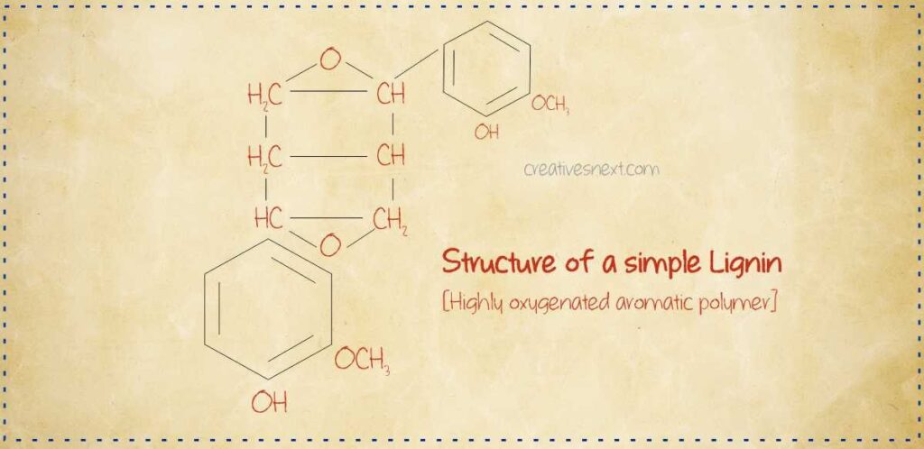 A Brief Chemistry of Paper [Pulp Manufacturing & Processing]